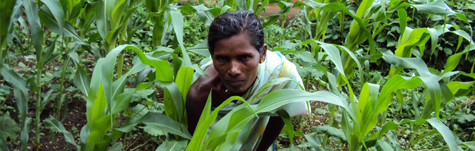 Regional Center for Development Cooperation